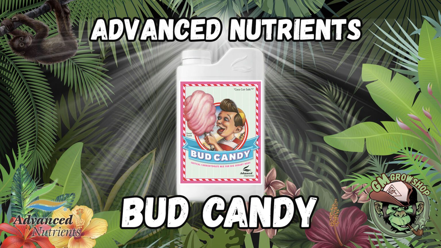 Bud Candy de Advanced Nutrients: El Dulce Secreto para un Cultivo ...